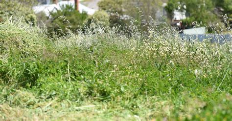 Residents Urged To Pledge Fire Safety The Courier Ballarat Vic