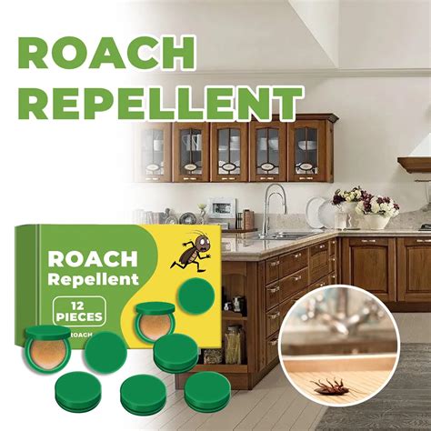 Easy Cockroach Killing Traps Station Juhi