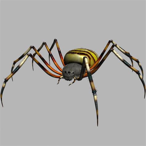Rigged Spider 3d Max