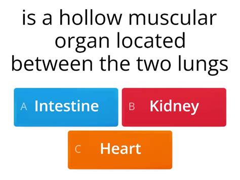 Grade 4 Activity Quiz
