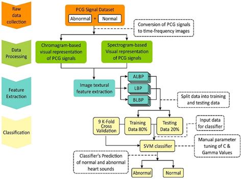 Proposed Methodology Of Phonocardiogram Pcg Signal Classification Model Download Scientific