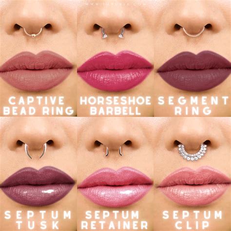 Types Of Septum Rings Nose Piercing Types Purchase 2025 Deals