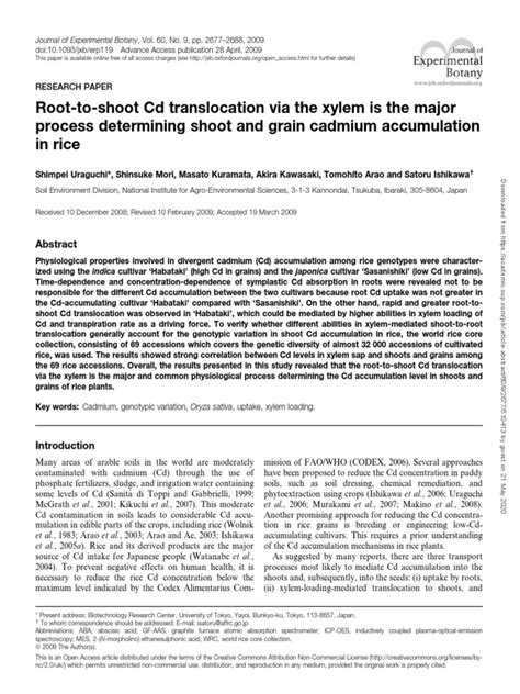 Erp 119 Pdf Rice Root