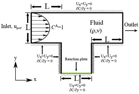 Numerical Simulation Of First Order Surface Reaction In Open Cavity Using Lattice Boltzmann Method