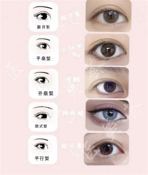 勾玉眼型 眼型桃花眼 大山谷图库