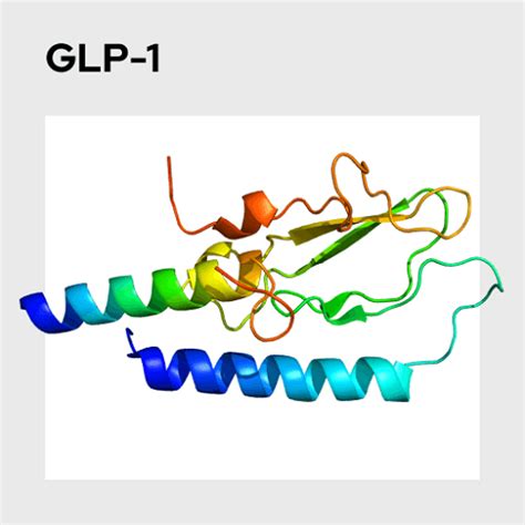 Understanding Glp 1 A Key Hormone In Obesity And Diabetes Management
