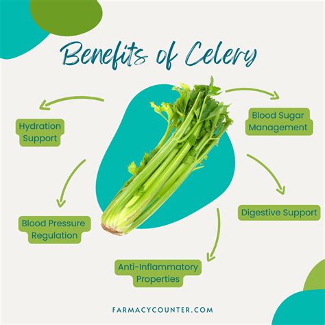 Celery A Nutritional Powerhouse Farmacy Counter
