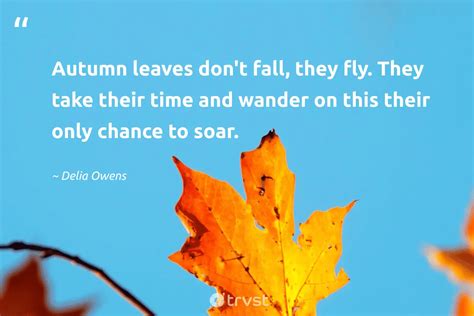 Fall Leaves Quotes