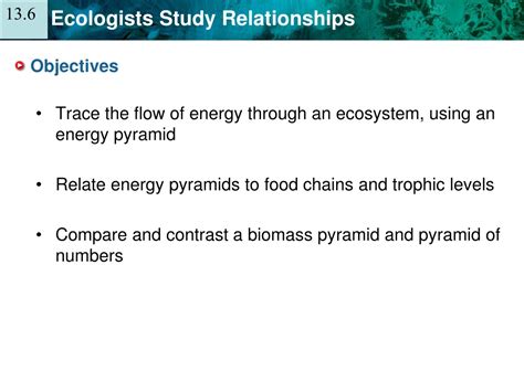 PPT Exploring Ecology Relationships In Nature PowerPoint Presentation ID 9370431