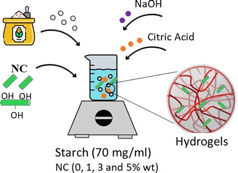 Representative Scheme Of Adopted Methodology For Starch Based Composite Download Scientific
