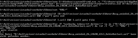 Batch File Findstr B Url ~1 Not Working With öäü In