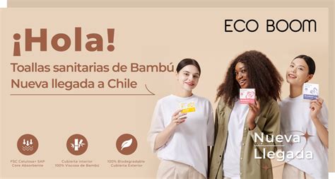 Eco Boom Brand Monthly Mar 2023 Eco Boom