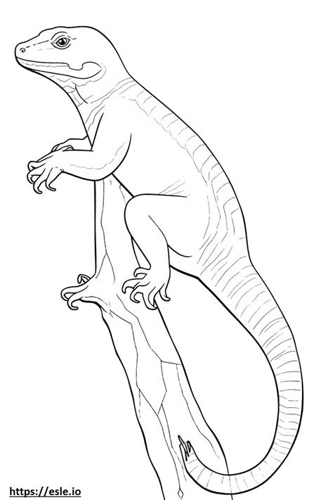 Emerald Tree Monitor Full Body Coloring Page