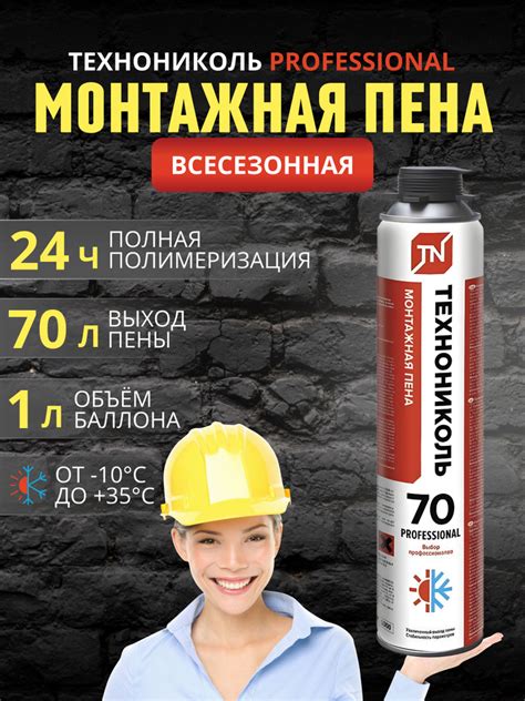 Профессиональная монтажная пена ТЕХНОНИКОЛЬ Professional 70 Всесезонная ...