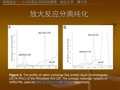 Ppt G Csf 的定点 Peg 化修饰 Powerpoint Presentation Free Download Id 4118285