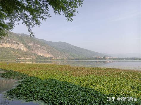 家是最温暖的地方 知乎