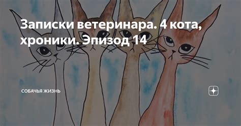 Записки ветеринара 4 кота хроники Эпизод 14 СобачьЯ жизнь Дзен