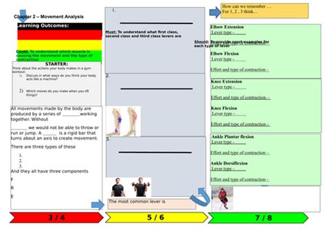 Aqa Gcse Pe Chapter 2 Movement Analysis Levers Learning Mat Teaching Resources