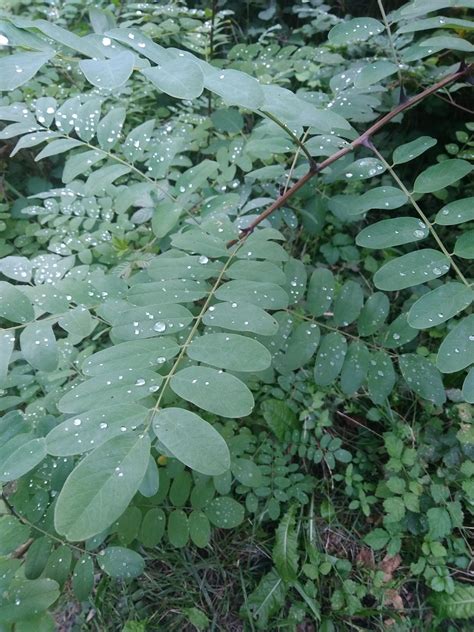 Stéphanie Perrot Prendre Soin De Soi Cest Maintenant