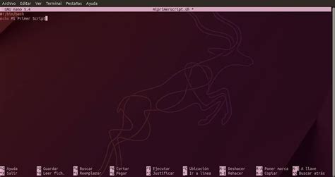 Shell Scripting Tutorial 04 Los Scripts De Bash Shell Parte 1