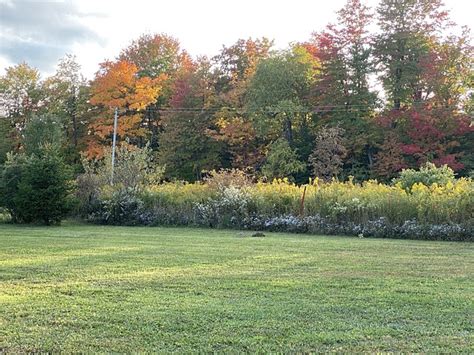 Fall Trees Treeline Free Photo On Pixabay