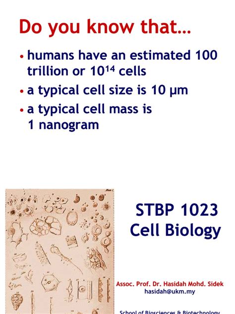 Cell Biology Lecture 1 And 2 Sem I 2011 2012 Introduction To Cell Biology