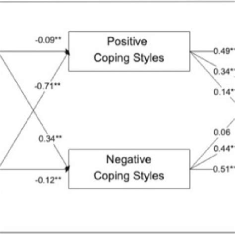 Path Model Linking Second Victim Experience Components And Coping