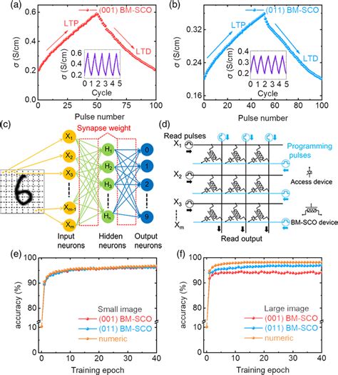 Image Recognition Simulation Based On Ltp And Ltd In Bm‐sco Synaptic