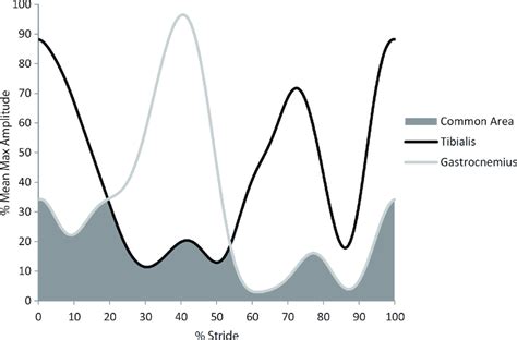 Calculation Of Lower Limb Muscle Co Contraction Index The Emg Signals Download Scientific