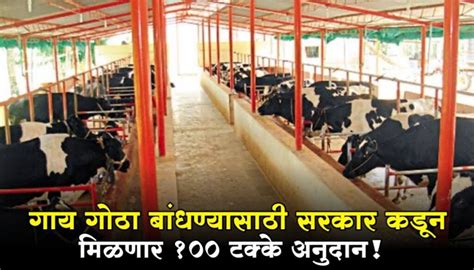 गाय गोठा बांधण्यासाठी सरकार कडून मिळणार 100 टक्के अनुदान Gay Gotha