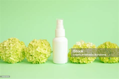 흰색 화장품 스프레이 병과 녹색 배경에 녹색 Viburnum 꽃 전면보기 모형 템플릿 천연 유기농 스파 화장품 및 액체 항균