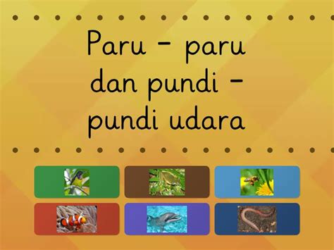 Organ Pernapasan Hewan Find The Match