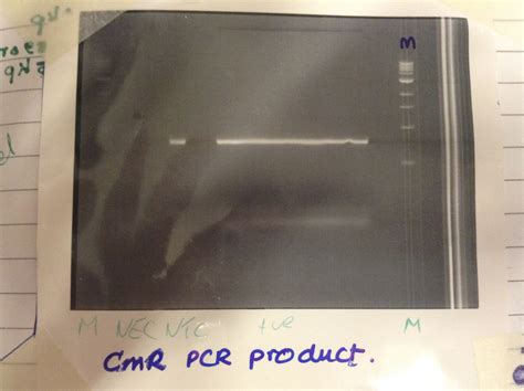 Teammanchesterlabbook