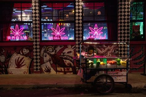 Thailands Cannabis Tourism Industry Clouded As Legal Threats Emerge