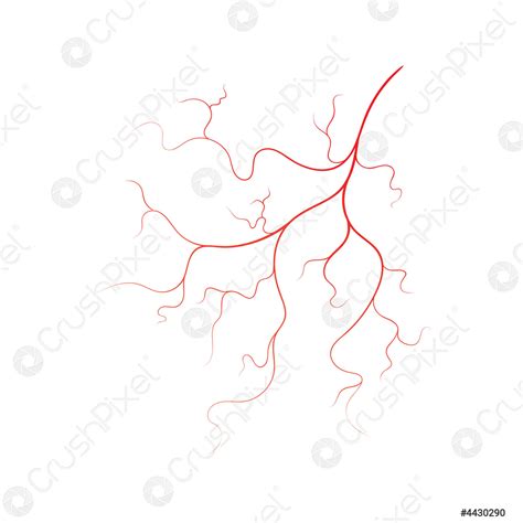 Human Vein Vector Symbol Icon Design Illustration Stock Vector