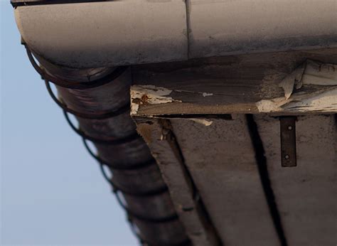 How Do I Know If My Roof Is Rotting