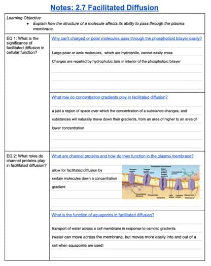 Facilitated Diffusion Notes By Mr Waggoner Chemistry Biology Ngss