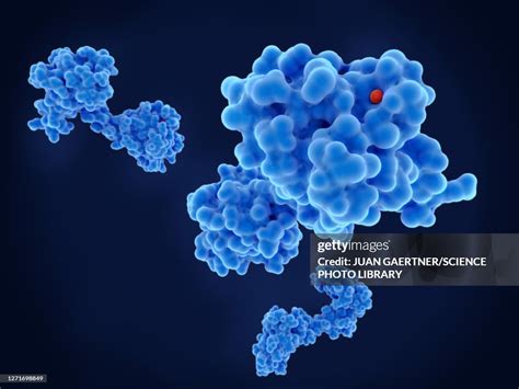 Calciumbinding Protein Molecule Illustration High Res Vector Graphic