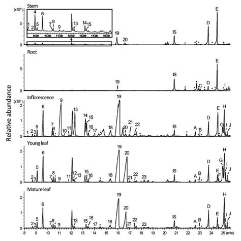 General Classification Of Plant Phenolics Modified From 18