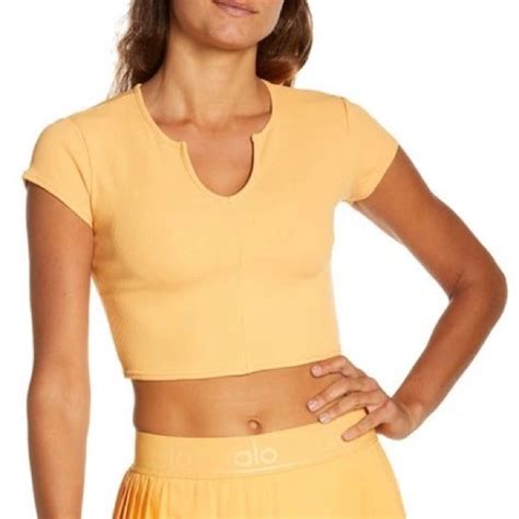 Alo Yoga Tops 5 Nwt Alo Yoga Ribbed Cropped Savvy Short Sleeve