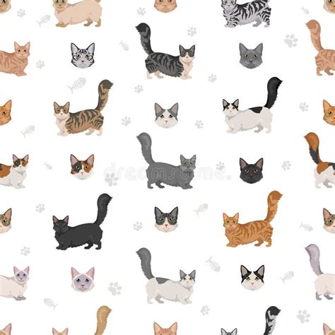 Munchkin Cat Seamless Pattern All Coat Colors Set Stock Illustration