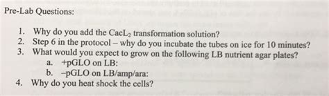 Solved Why Do You Add The Cacl 2 Transformation Solution