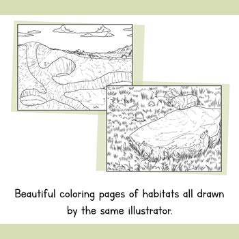 Free Coloring Pages Savannah Grasslands [2025]