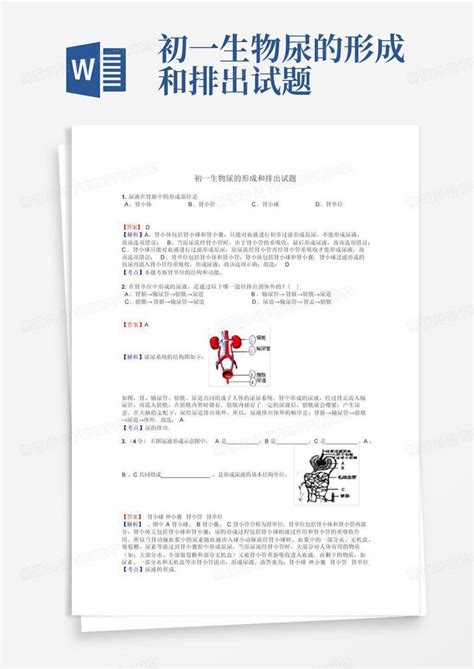 初一生物尿的形成和排出试题word模板下载编号lrzgxkky熊猫办公