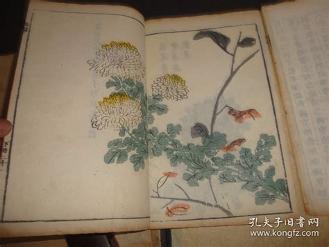 【图】清嘉庆白宣纸大开本 五色套印芥子园画传 第二集 梅兰竹菊原装完整4册一套全 整体品好 具体及开本尺寸见图拍品信息网上拍卖拍卖图片