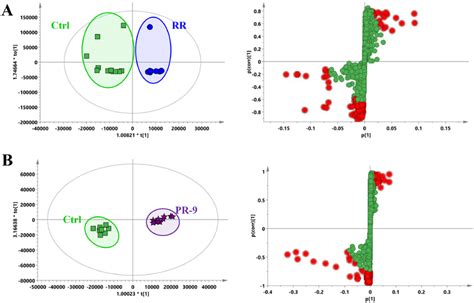 OPLS DA Score Plots Left And Their Corresponding S Plots Right