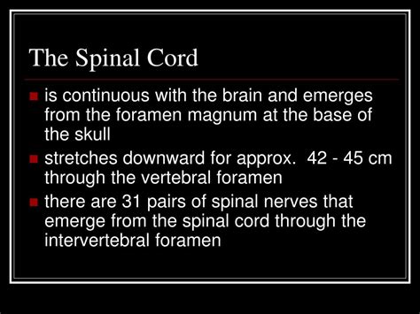 Ppt Spinal Cord Spinal Nerves And Somatic Reflexes Powerpoint