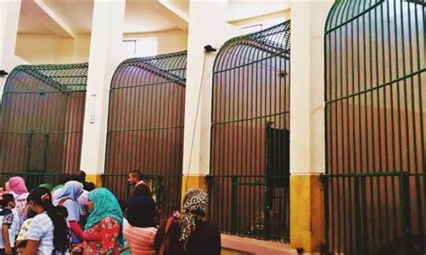 حديقة حيوان الإسكندرية تستقبل 16 ألف زائر خلال يومين مبتدا