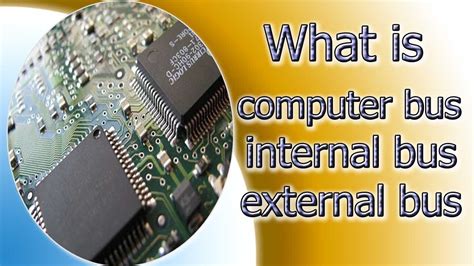 What Is A Computer Bus Internal Bus External Bus Types Of Buses