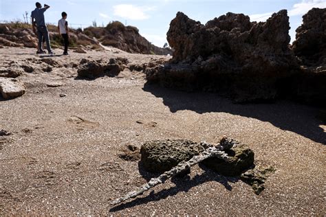 Diver Finds 900 Year Old Crusader Sword On Mediterranean Seabed Daily